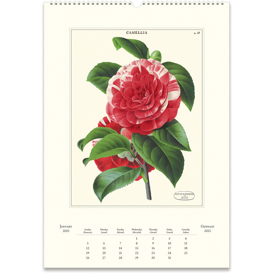 Botanica 2025 Wall Calendar – Charleston Street