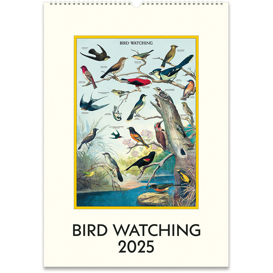 Birdwatching 2025 Wall Calendar – Charleston Street