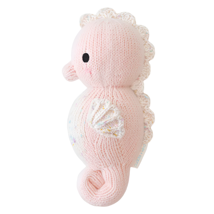 Baby Seahorse – Charleston Street