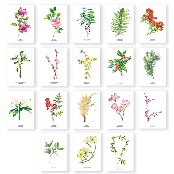 Kat McCall Greenside Greeting Cards Package – Charleston Street